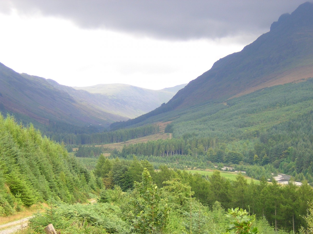 Wild Ennerdale - Rigby Jerram Ecological Consultants
