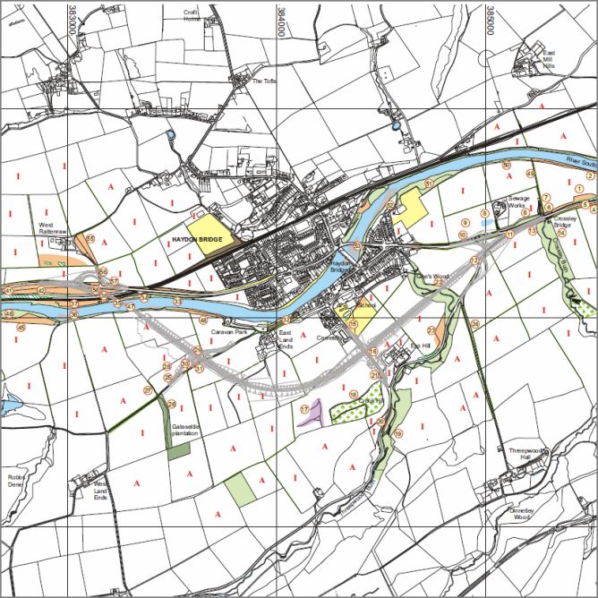 Haydon Bridge - Rigby Jerram Ecological Consultants