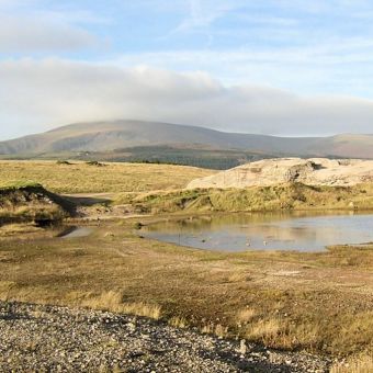 Millom Ironworks LNR - Rigby Jerram Ecological Consultants